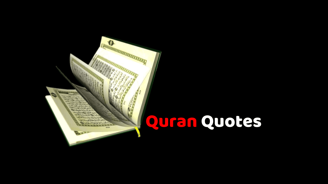 Quran Quotes - Beautiful Islamic Quotes from the Quran » Seekers Elite